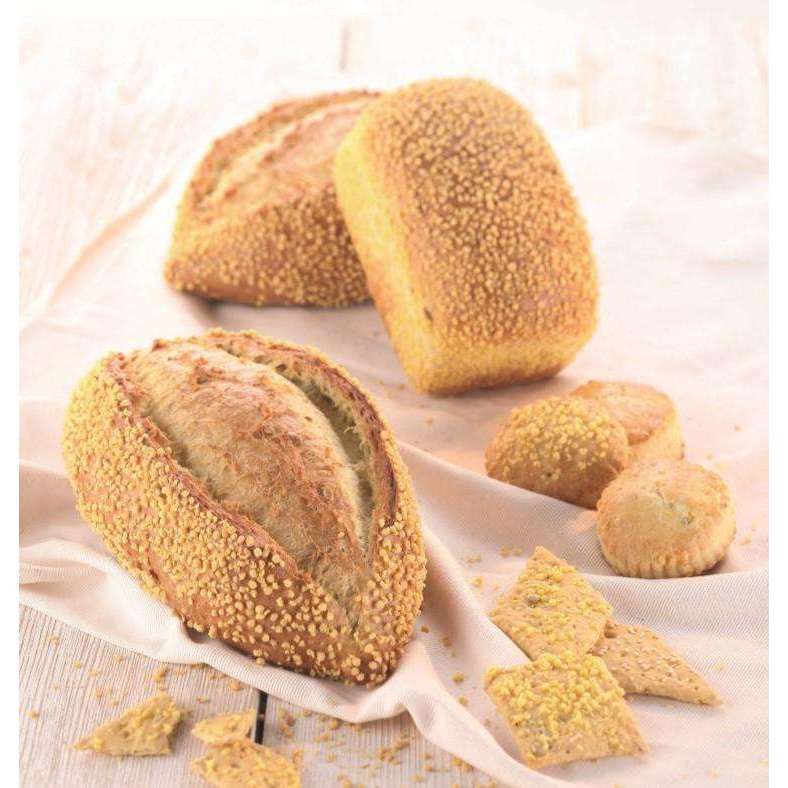 Ireks | Corn Bread Mix | 12.5kg – BFP